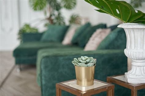 전경에 있는 하우스플랜트 쿠션 에메랄드 색 소파 쪽모이 세공 마룻바닥 벽난로 소파 및 하우스 플랜트가있는 고급 거실 벽에 치장 벽토 0명에 대한 스톡 사진 및 기타 이미지