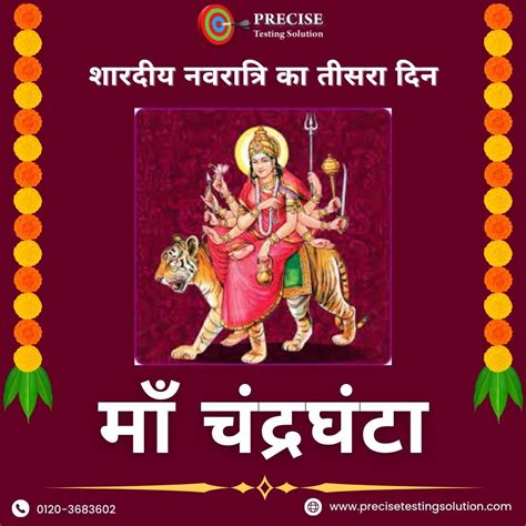 Precise Testing Solution Private Limited On Linkedin Navratri