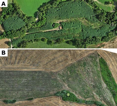 Disease Assessing By Aerial Remote Sensing Rs Using Drones In 2023 Download Scientific