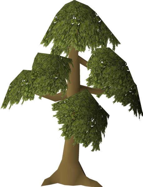 Yew Tree Farming Osrs Wiki