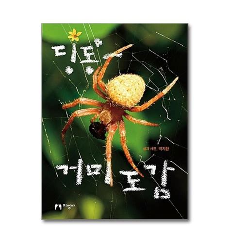 서원도서 딩동 거미 도감 티몬