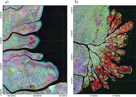 3 Jers 1 Sar Mid 1990s And Alos Palsar Data 2007 And 2010 In Rgb Download Scientific