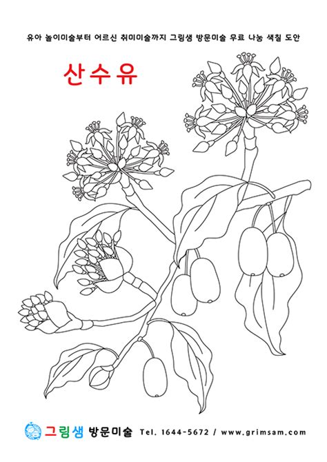 산수유 그림샘 방문미술 무료 나눔 색칠공부 네이버 블로그