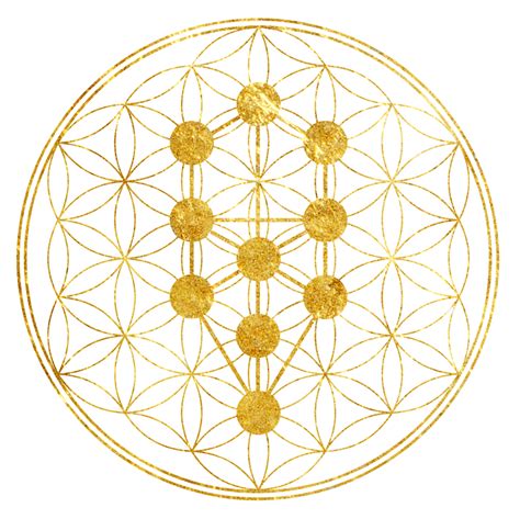 Rise And Embody Your Higher Self With Monad