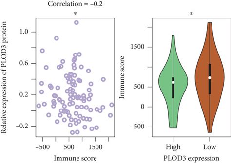 Correlation Between Immune Cell Infiltration And Plod3 Expression The