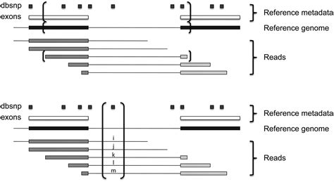 The Genome Analysis Toolkit A Mapreduce Framework For Analyzing Next Generation Dna Sequencing Data