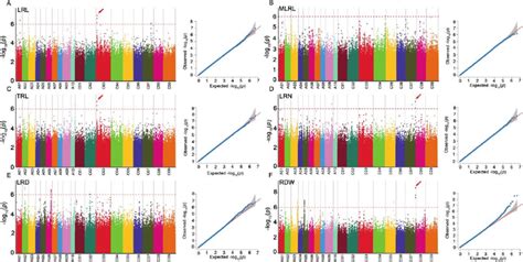 Quantile Quantile Qq And Manhattan Plots For The Rsa Root System