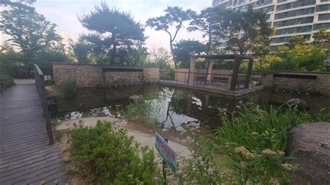 살아만 있으면 기회는 다시 온다 그러니 인내하고 기다리자 참고 기다리는 게 쉽지 않지만 지금은 조용히 지내야 할 때다 사방에서 잡아먹으려고 혈안이다 Youtube