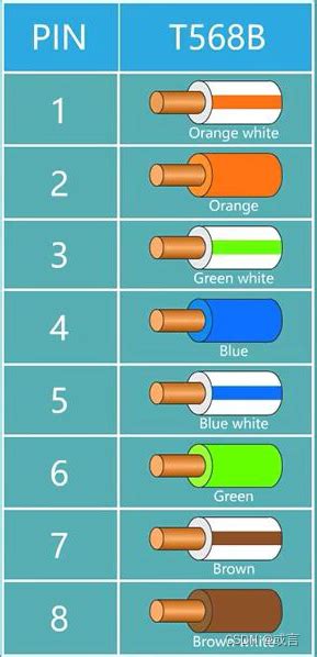 计算机网络实验一：网线制作和局域网组建计算机网络实验制作网线或言的博客 Csdn博客