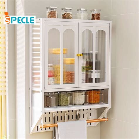 Ispecle【anti Cockroach】wall Mounted Seasoning Cabinet Free Seasoning