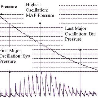 Sensors Array Transducer Based On NIBP Oscillometry Measurement Download Scientific Diagram