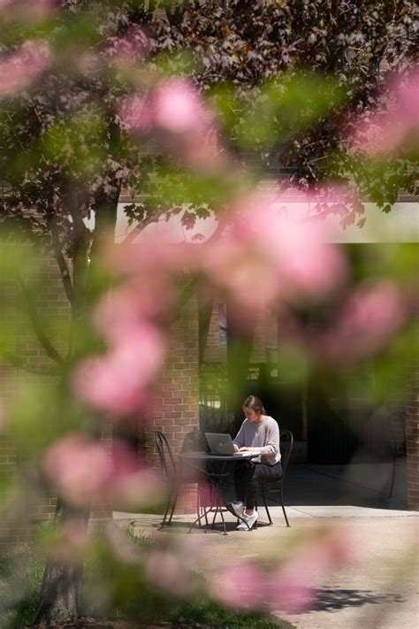 bellarmine university on linkedin get ready to ace those finals knights