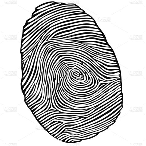 矢量 指纹 黑白图片 数据 自然 图像 艺术 侦探 叶子 钢笔和麦克笔画