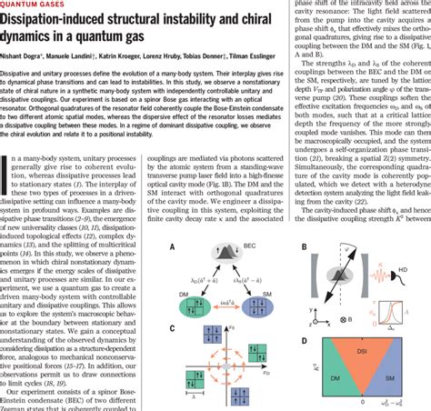 Engineered Dissipative Coupling A A Spinor Bec Containing A Mixture Download Scientific