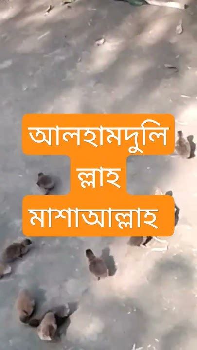 আল্লাহ আল্লাহ আল্লাহ আল্লাহ Youtube