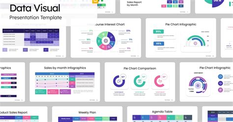 Data Visual Incl Animated Infographic And Infographics Envato