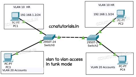 Configure And Verify Interswitch Connectivity Ccna Tutorials