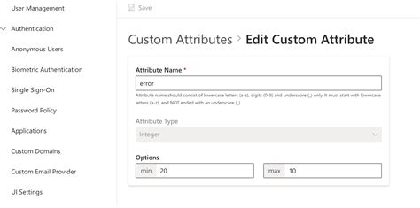 Admin Portal Custom Attributes Missing Validation On Min Max Value Range · Issue 1783