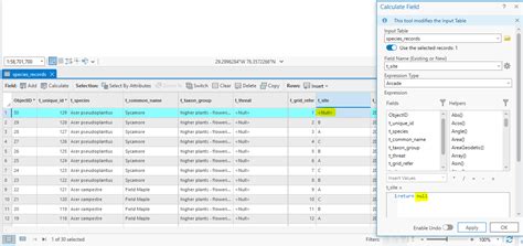 How To Return Null In Arcade With Calculate Field Esri Community