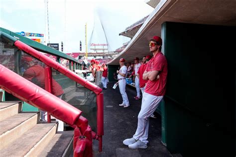 Cincinnati Reds Designate Wil Myers For Assignment Fastball