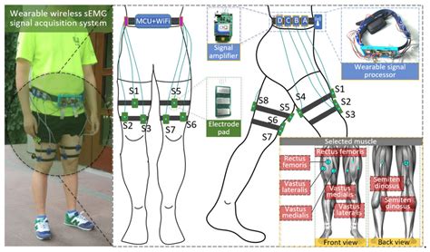 Lower Limb Wearable Surface Electromyography Acquisition System