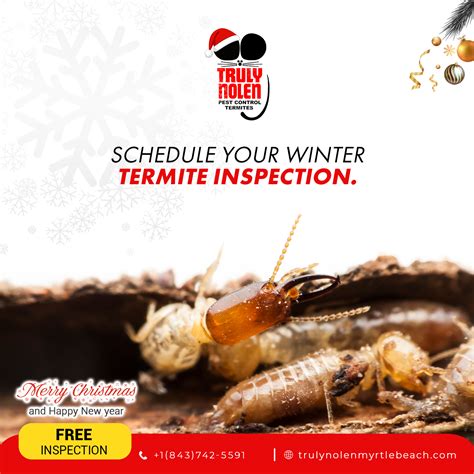 Truly Nolen Pest And Termite Control North Myrtle Beach Sc