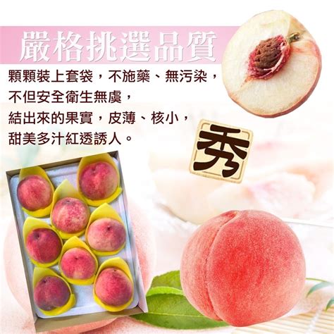 捐1750元贈果農直配 拉拉山水蜜桃6入禮盒2盒每顆140 180g