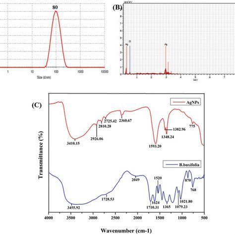 A Particles Size Analysis Of Ag Nps B Eds Spectrum Of Ag Nps C Download Scientific