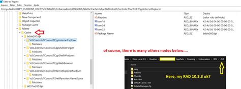 Palette Not Showing Anything Delphi Ide And Apis Delphi Praxis En