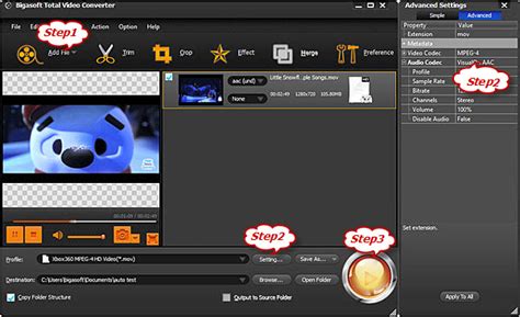 How To Change Audio Codec Bigasoft
