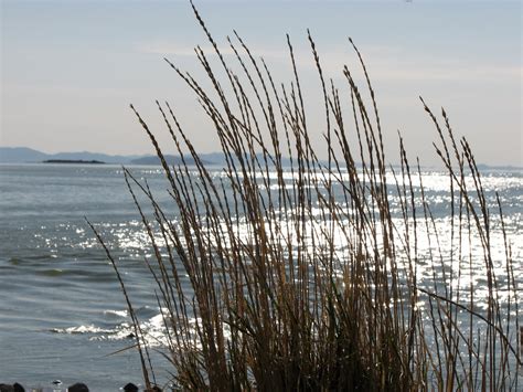 Camping Adventures Put The Outing In Scouting