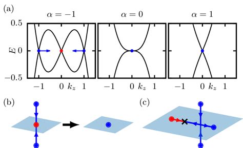 Schematic Representation Of The Weyl Node Processes The Red Blue