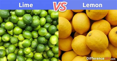 Lime Vs Lemon Differences Pros And Cons Health Difference 101