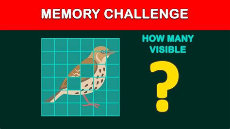 challenge your memory can you recall the details youtube