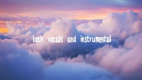 Remove Vocals Or Instrumental From Any Song Fast By Shreddluos Fiverr