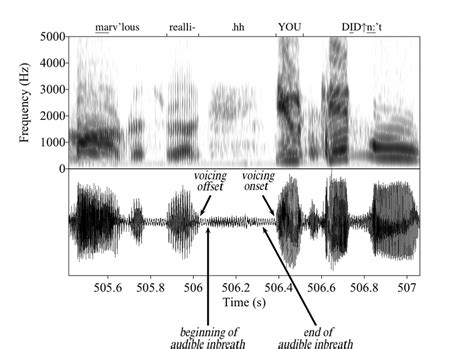 Labelled Waveform Lower Part And Spectrogram Upper Part Of Fragment