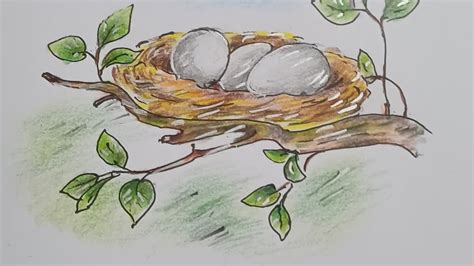 رسم طبيعة رائعة ⚘️💯 مع انشودة صوت عذب 💫🍃 حكمة للأطفال شاركونا