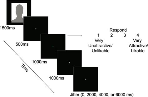Trial Sequence For The Actormodel FMRI Task Over The Course Of The Download Scientific
