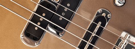 How Often Should You Change Bass Strings Ted S List