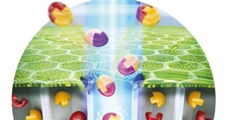 빛 받으면 약물 뿜는 분자밸브 개발