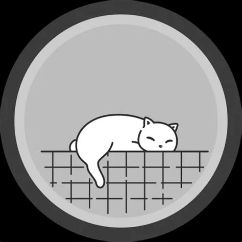 노알라 스킨 업로드 아갈캣 Story