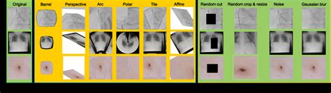 Examples Of Nonlinear Transformations Three Image Examples From Download Scientific Diagram