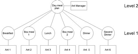 Ant Colony Structure