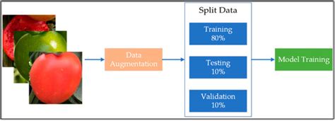 Classification Of Tomato Fruit Using Yolov5 And Convolutional Neural Network Models