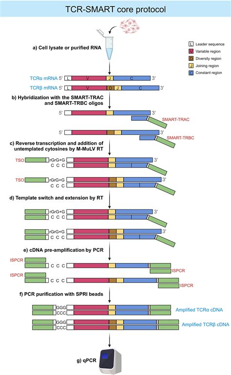 Cell Press Star Protocols