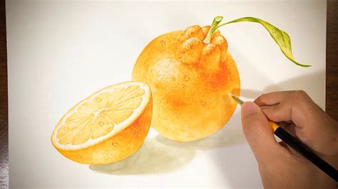 기초디자인과일 한라봉 오렌지귤 그리기 타임랩스개체묘사 Youtube