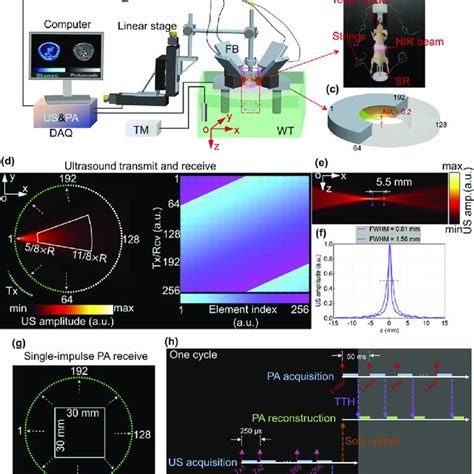 Pdf Video Rate Full Ring Ultrasound And Photoacoustic Computed Tomography With Real Time Sound