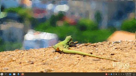 tuxedo os on dell g15 r tuxedocomputers