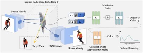 Generalizable Neural Performer Learning Robust Radiance Fields For Human Novel View Synthesis