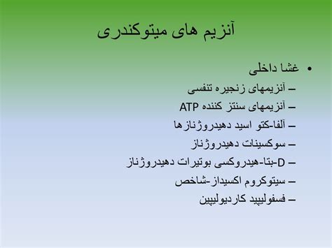 به نام پروردگار Ppt Download